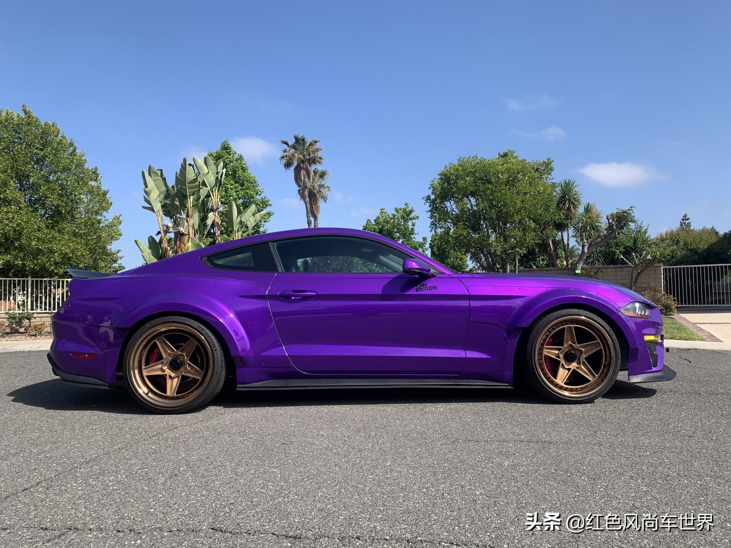 Unique wide-body Ford Mustang purple Tjin version modified works from ...