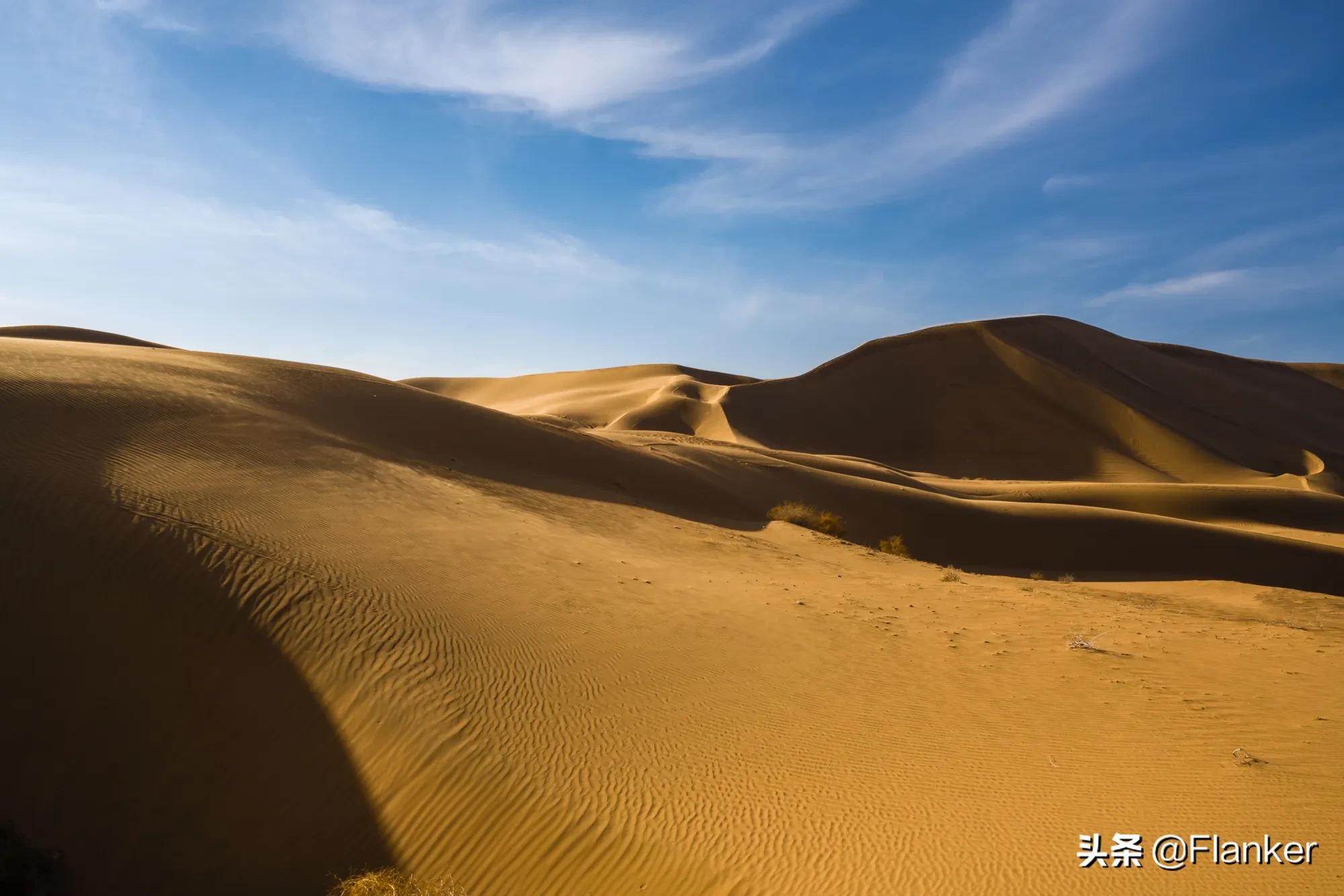 Jinchang Jiukeshu Desert - iNEWS