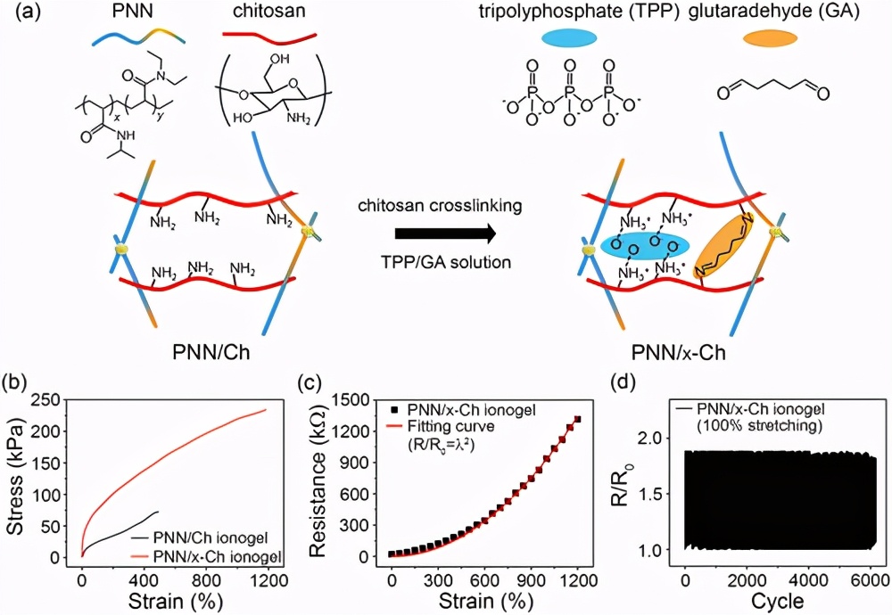 "Advanced Materials" Super-stretchable and durable electroluminescent ...