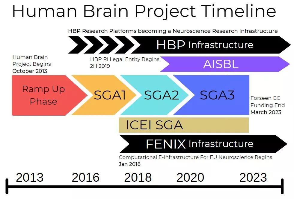 EU "Human Brain Project" : New algorithms simulate biological evolution ...