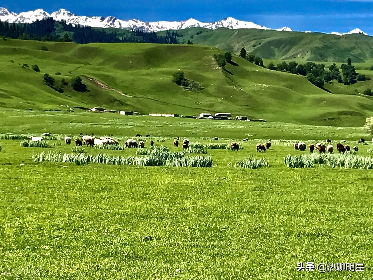 Wang Qi blew herself up and was scolded for music junk?Spring Festival ...