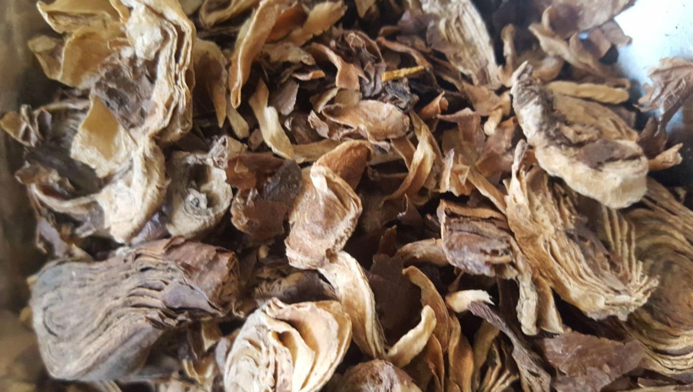 Legend has it that the "ghost flower" that grows on Huangquan Road is ...
