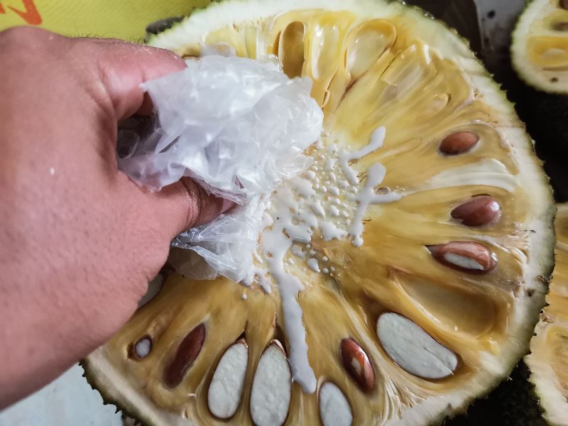 How do I clean the jackfruit gum on my hands?The following four methods ...