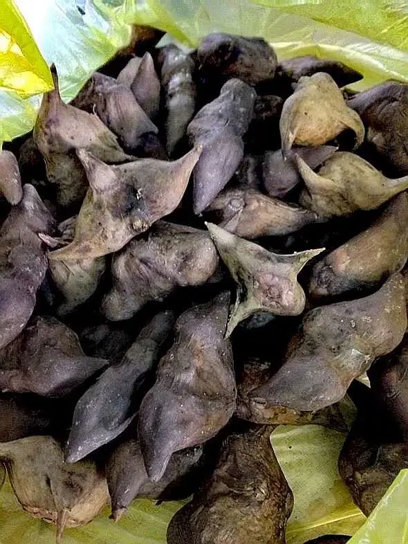 Talk about those things about Ling-childhood food (61) - iMedia