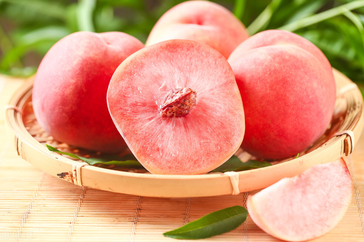 The practical scientific explanation of the debate between soft and ...