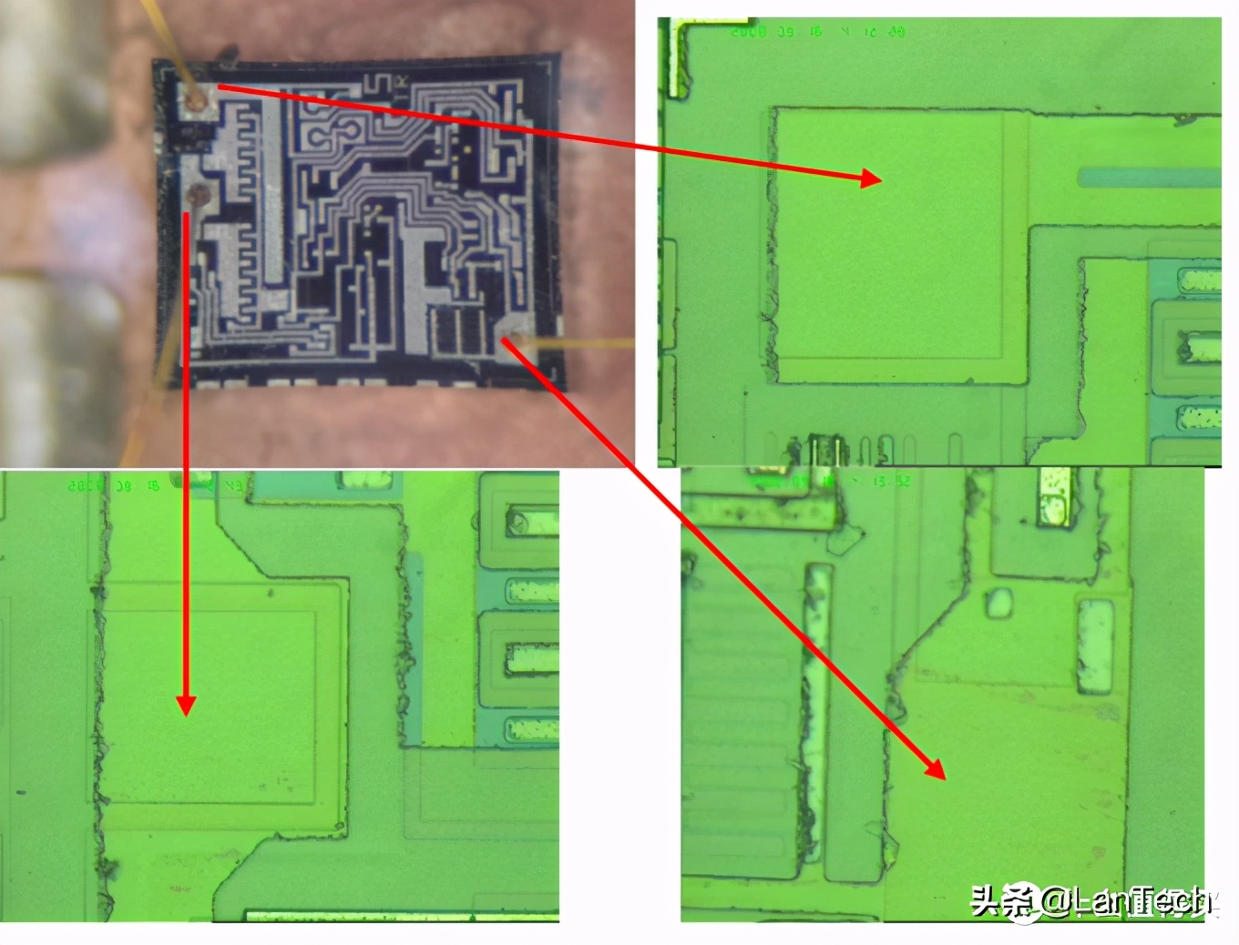 What does the chip look like? Scanning electron microscope ...