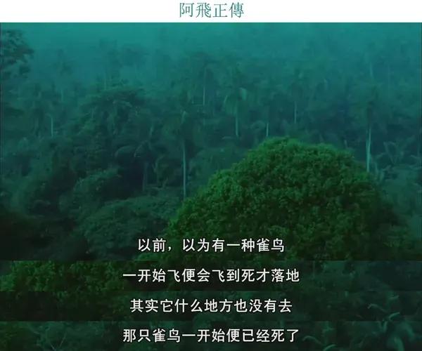 Wong Kar Wai's Trilogy-"A Fei's True Story" Dance of Footless Birds - iNEWS