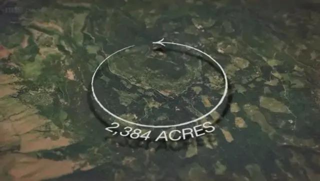 After living for 80,000 years, the largest life form on earth is dying ...