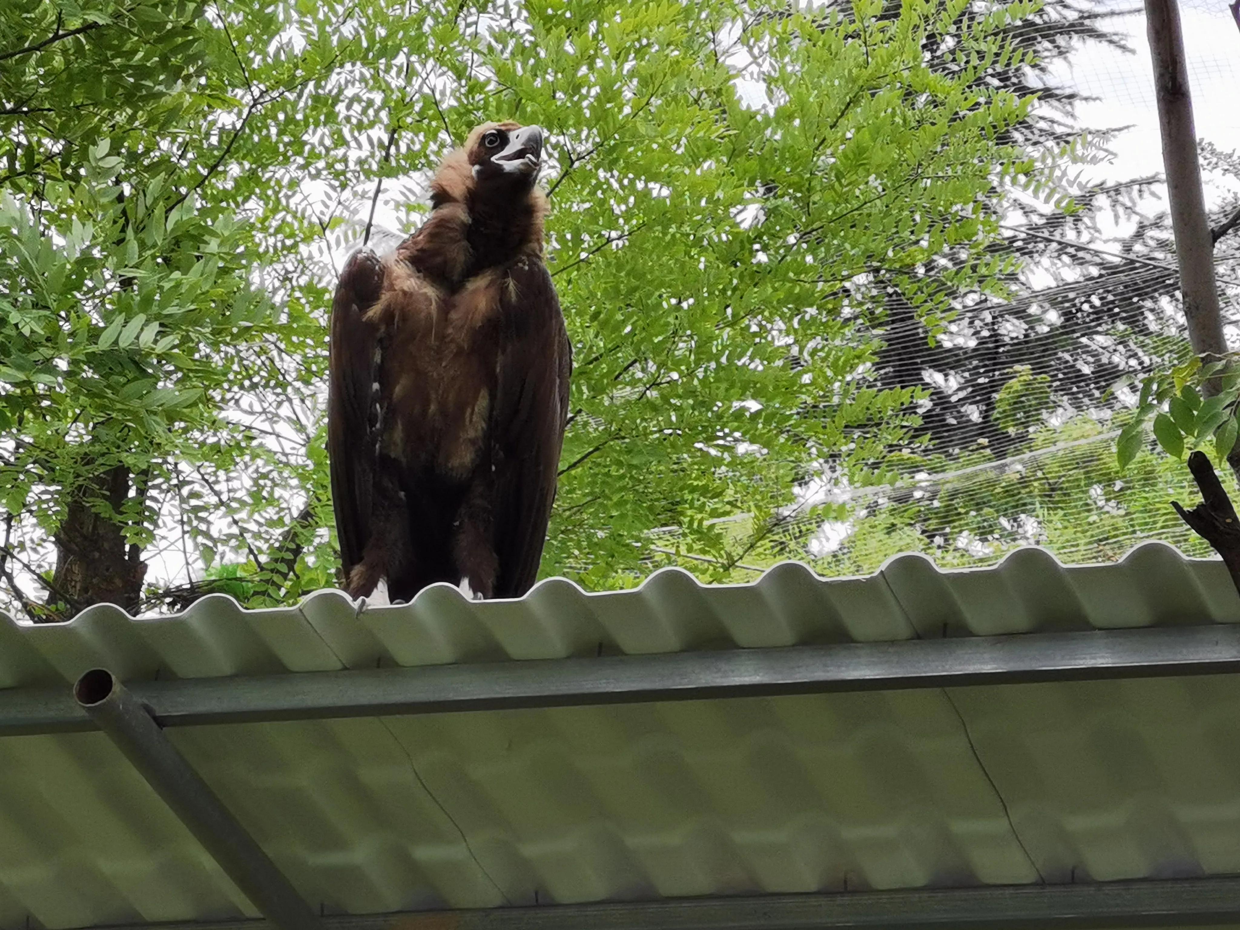 Qinling Sibao Science Park worthy of taking a baby tour - iNEWS