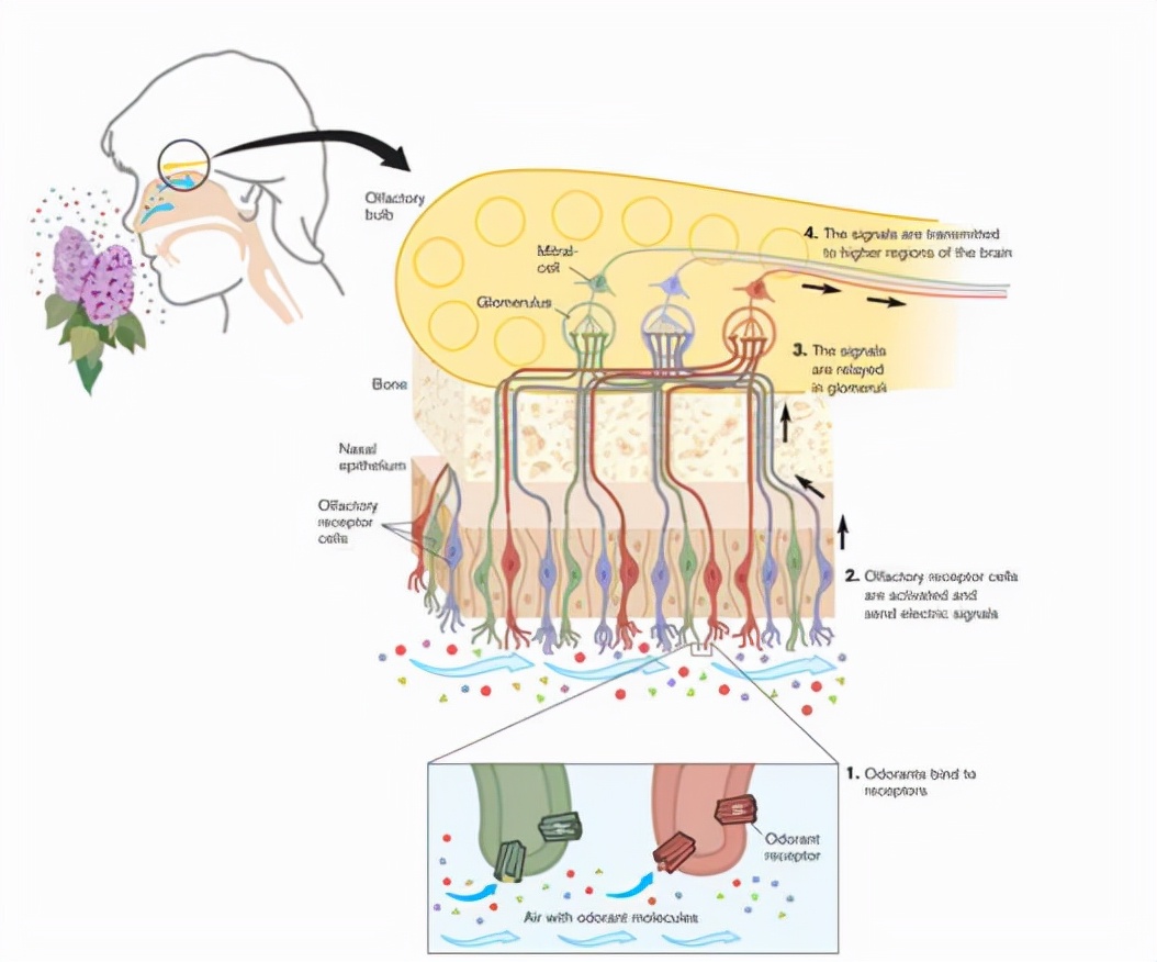 A "mirror person" appeared in Wuhan. No doctor dared to treat the ...
