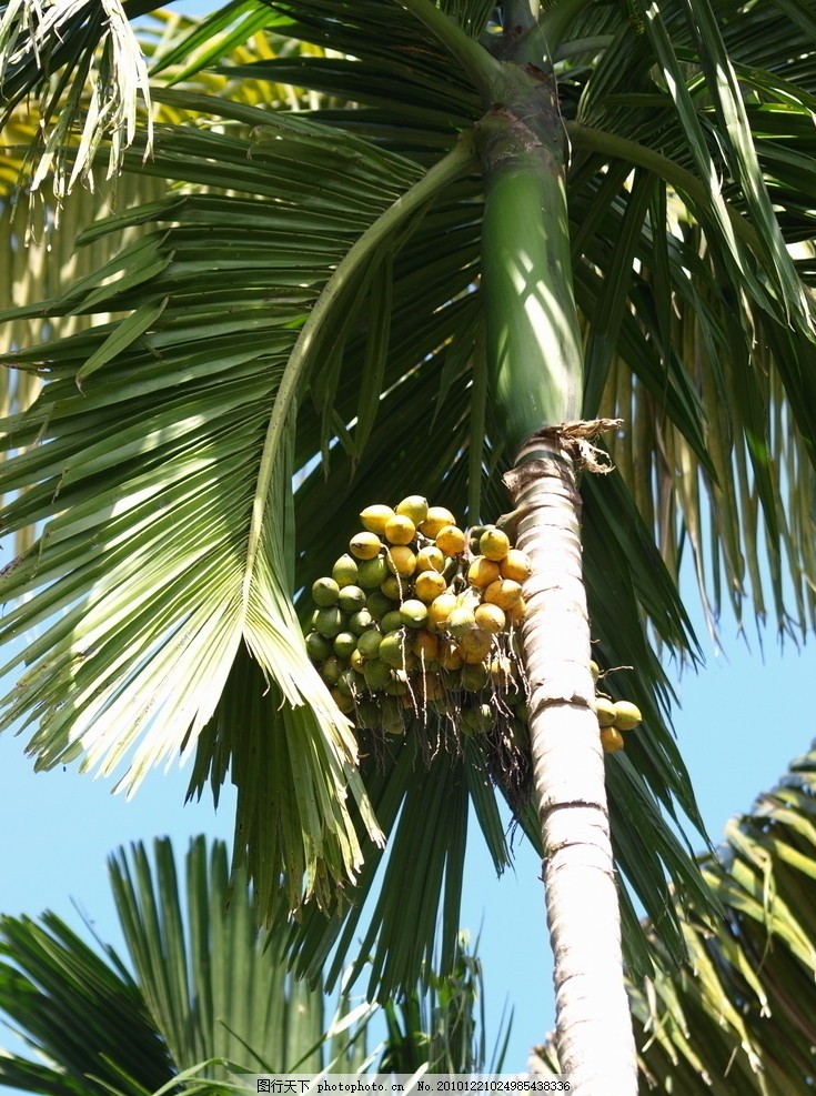 Hunan's "Betel Nut Culture" - iNEWS