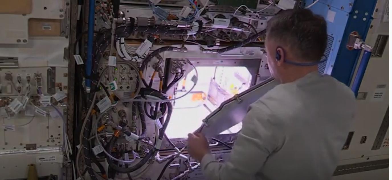 30 years!How powerful is China's space breeding?U.S. Space Breeding ...