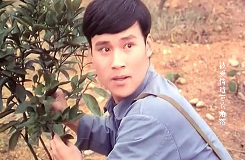 He starred in "A Corner Forgotten by Love", and partnered with Shen ...