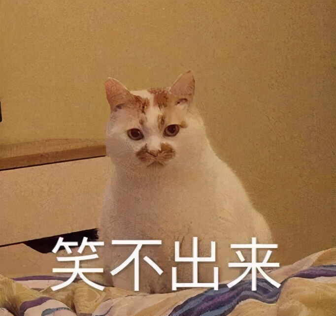 Xiao Zhan and Li Qin?Li Yifeng and Liu Haocun?Luo Yunxi White Deer?Zhou Zhennan's development ...