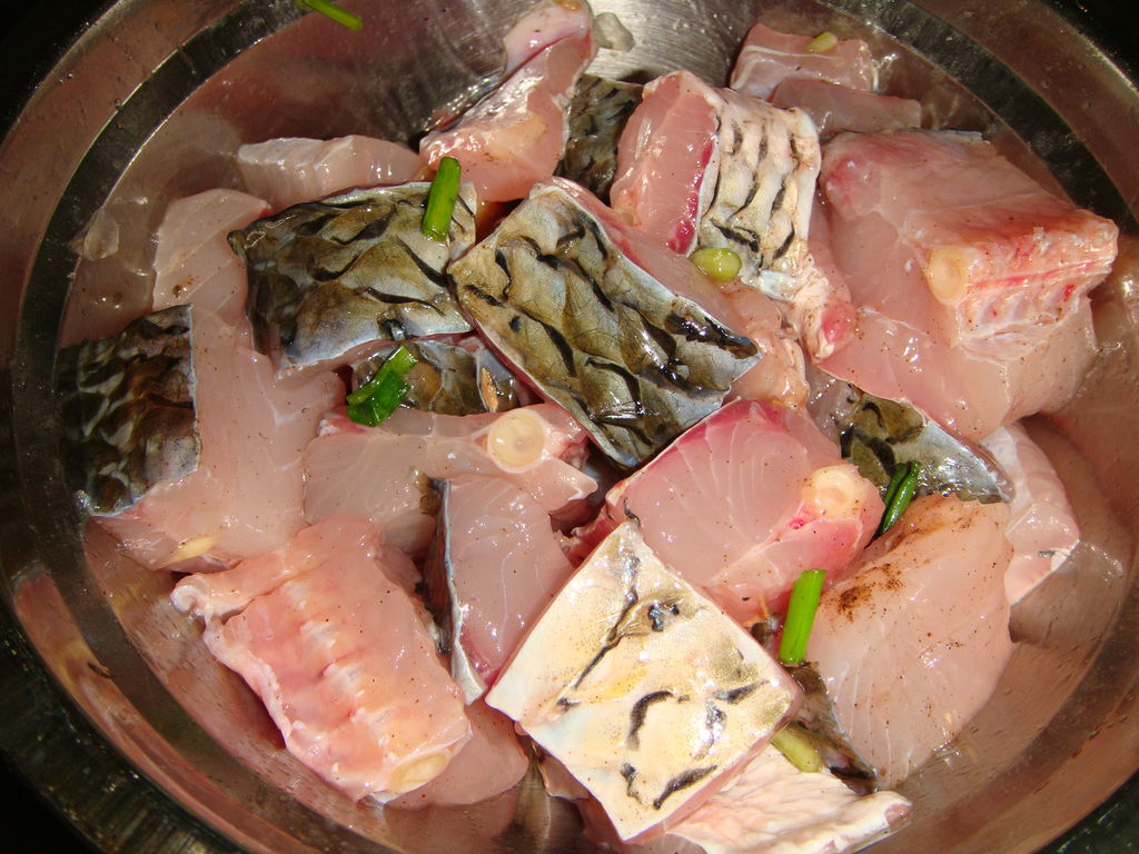 Don't miss it if you love fish - iNEWS