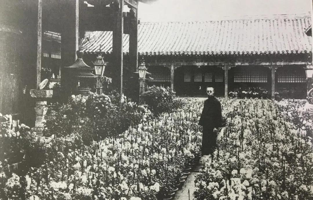 A generation of Guoxue master Wang Guowei: an uncut braid, an ...