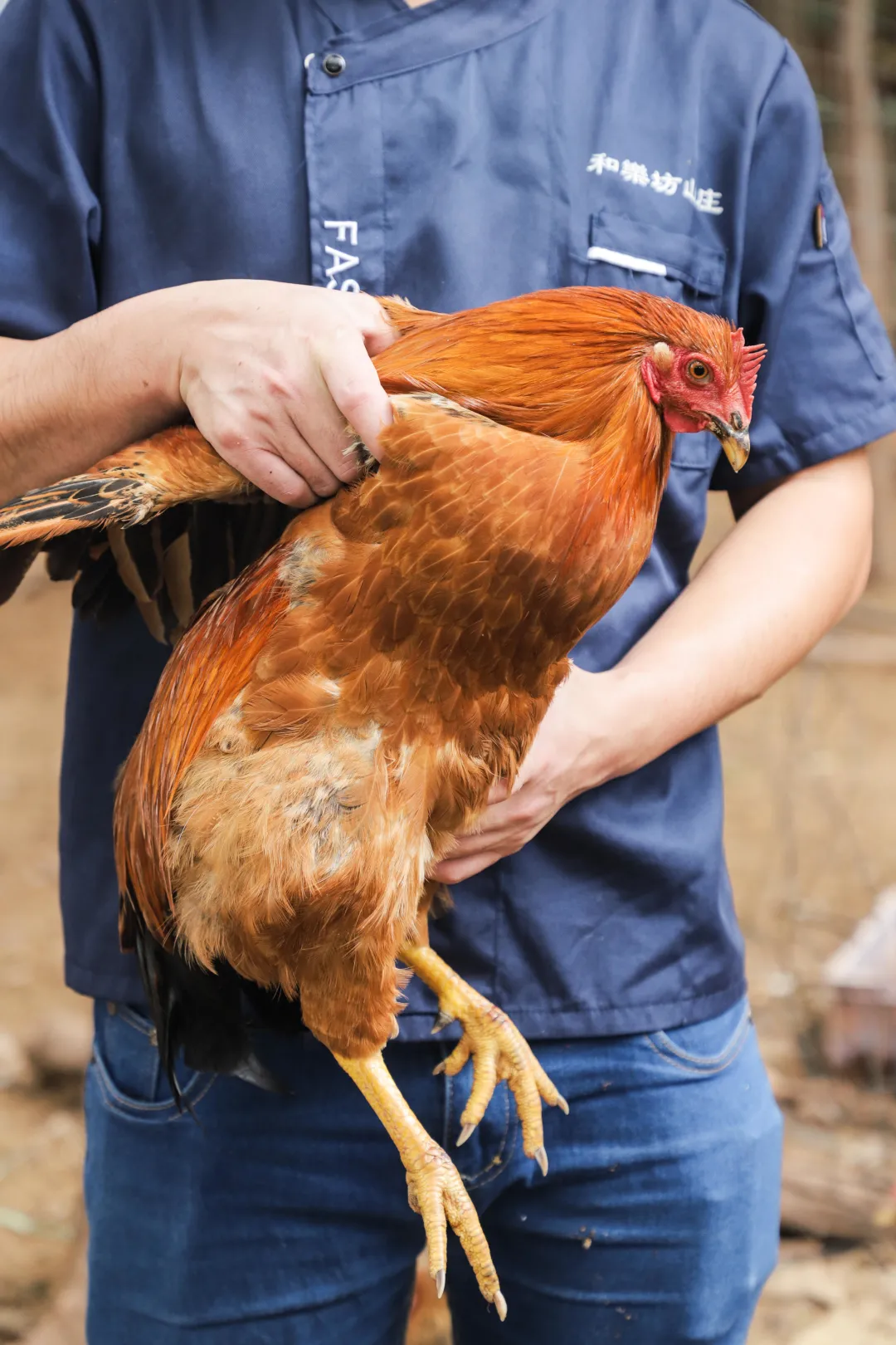 There is a villa in Songgang, South China Sea!Unique flavor that people ...