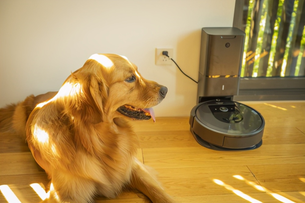 Professionals teach you the correct choice of sweeping robots: which ...