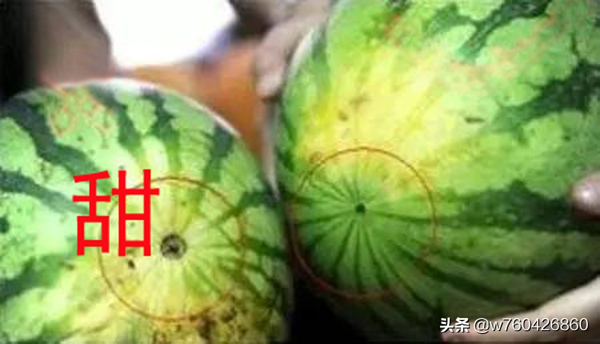 How to choose watermelon to be sweet - iNEWS
