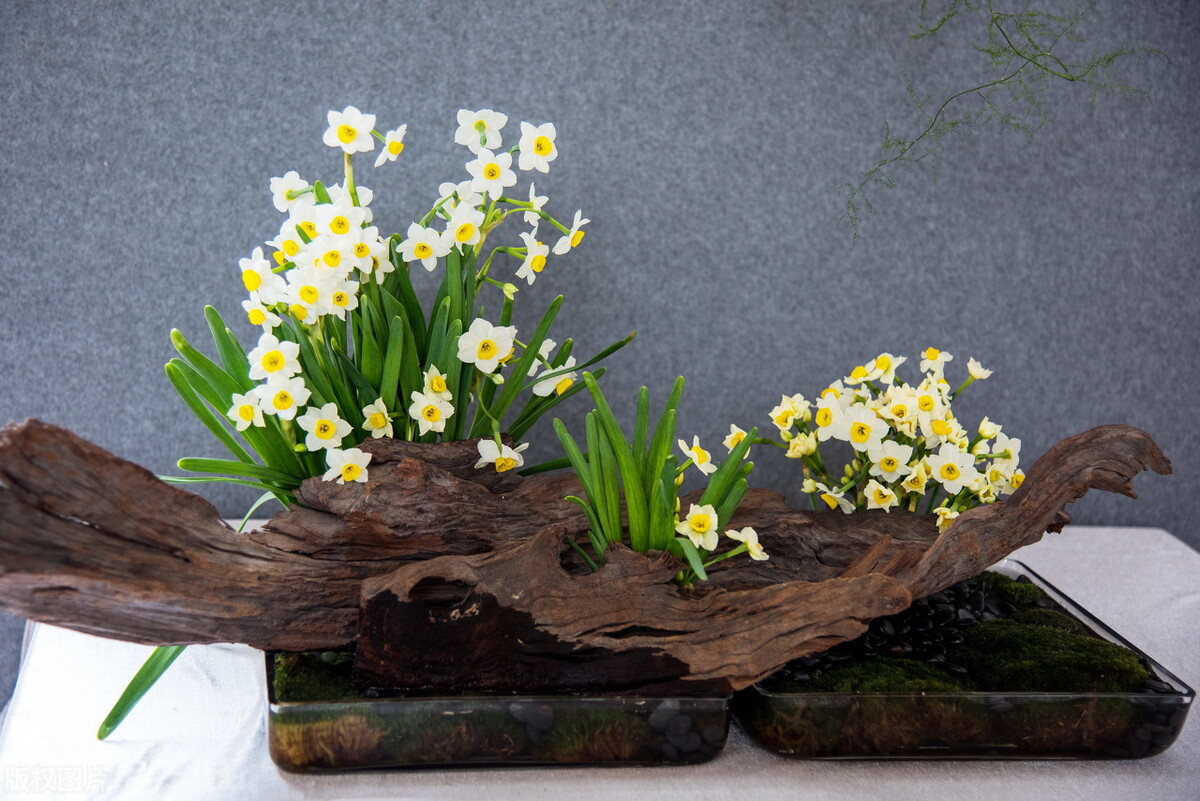 Qiyang·Liu Guihua, Hunan, "Ten Flowers and Partridges" - iNEWS