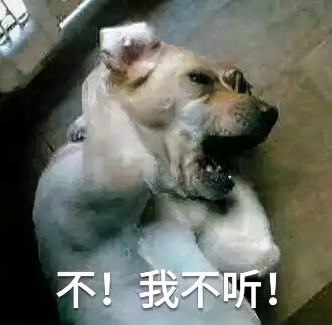 After 13 years of "Yanzhaomen", Gillian's photos were circulated by ...