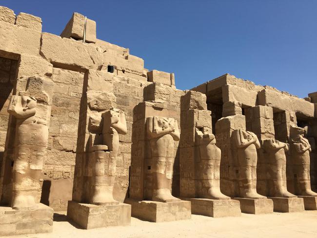 Can people live without a head?His descendants are all over the world ...