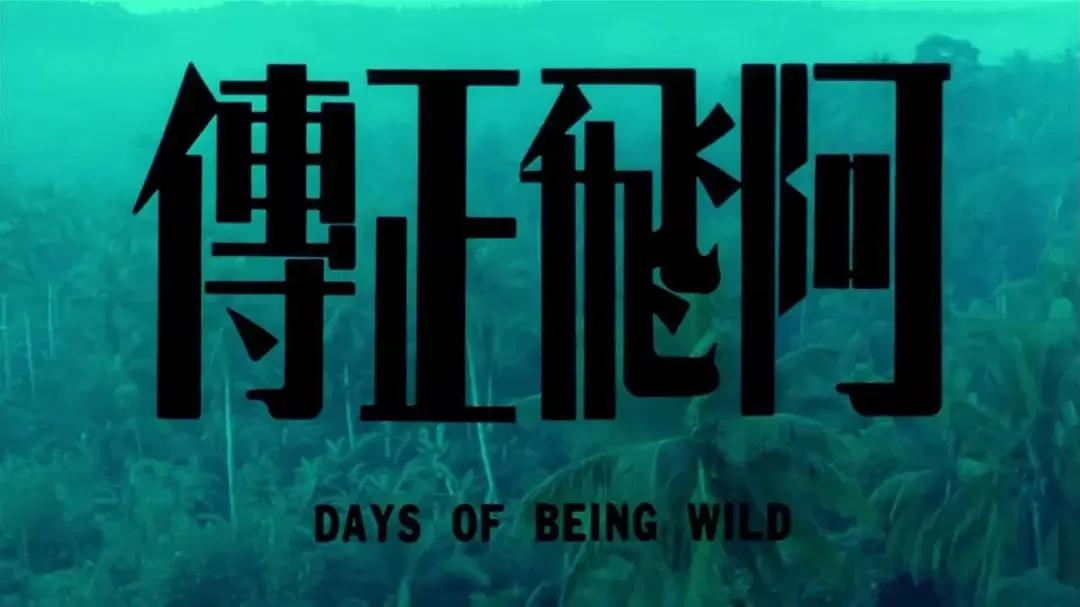 Wong Kar Wai's Trilogy-"A Fei's True Story" Dance of Footless Birds - iNEWS