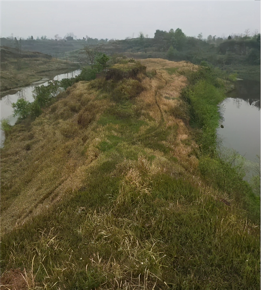 A farmer in Hubei was "hunted and killed" by snakes for 5 years. After ...