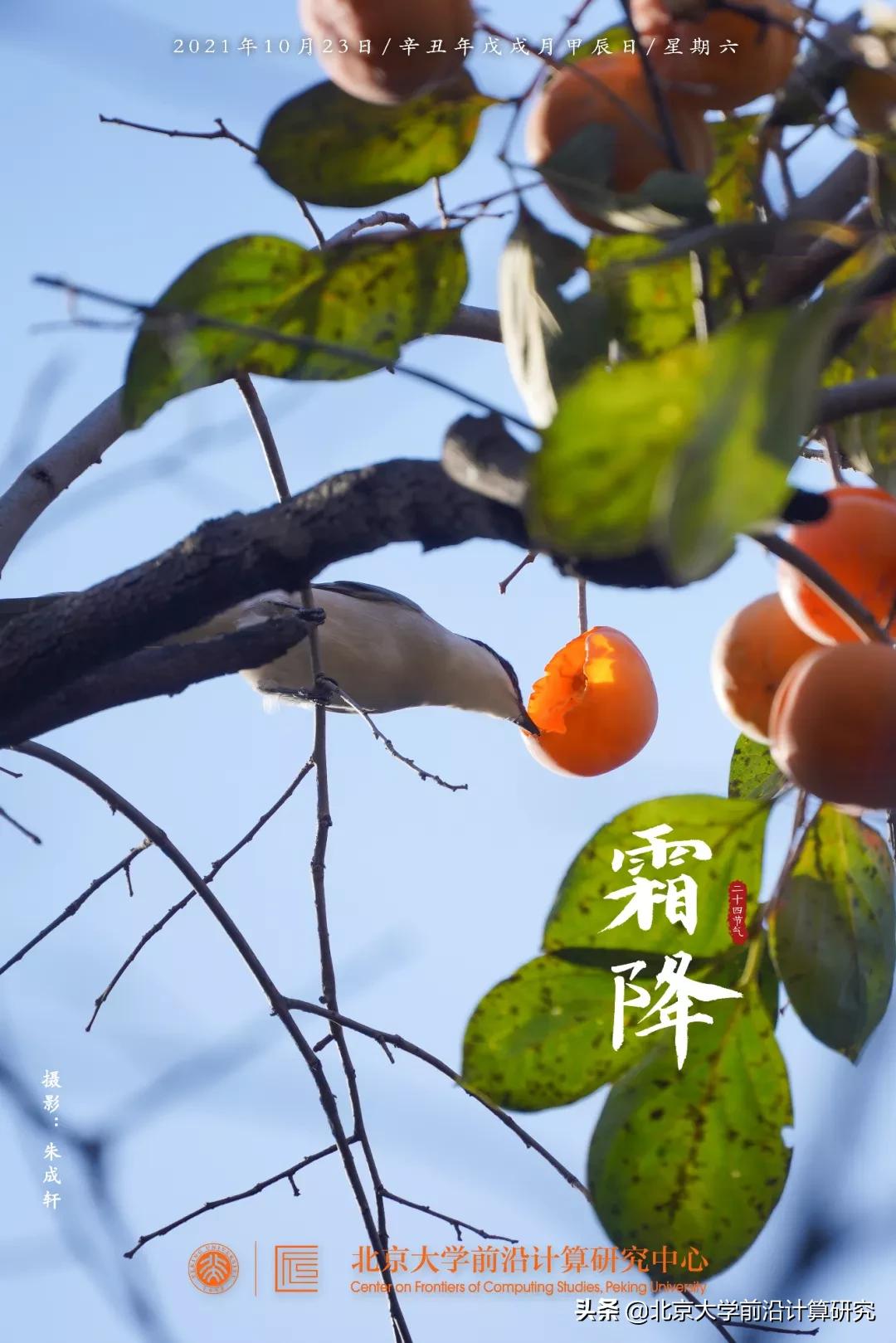 Turing Prize winners of the Nobel Prize in Economics - iNEWS