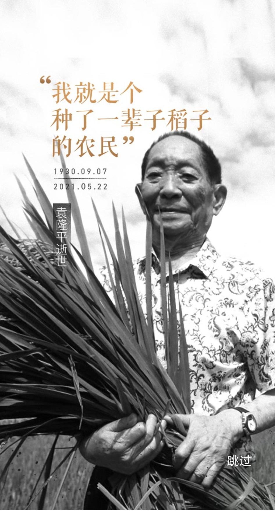 Yuan Longping: I have two dreams, one is to enjoy the shade under the ...