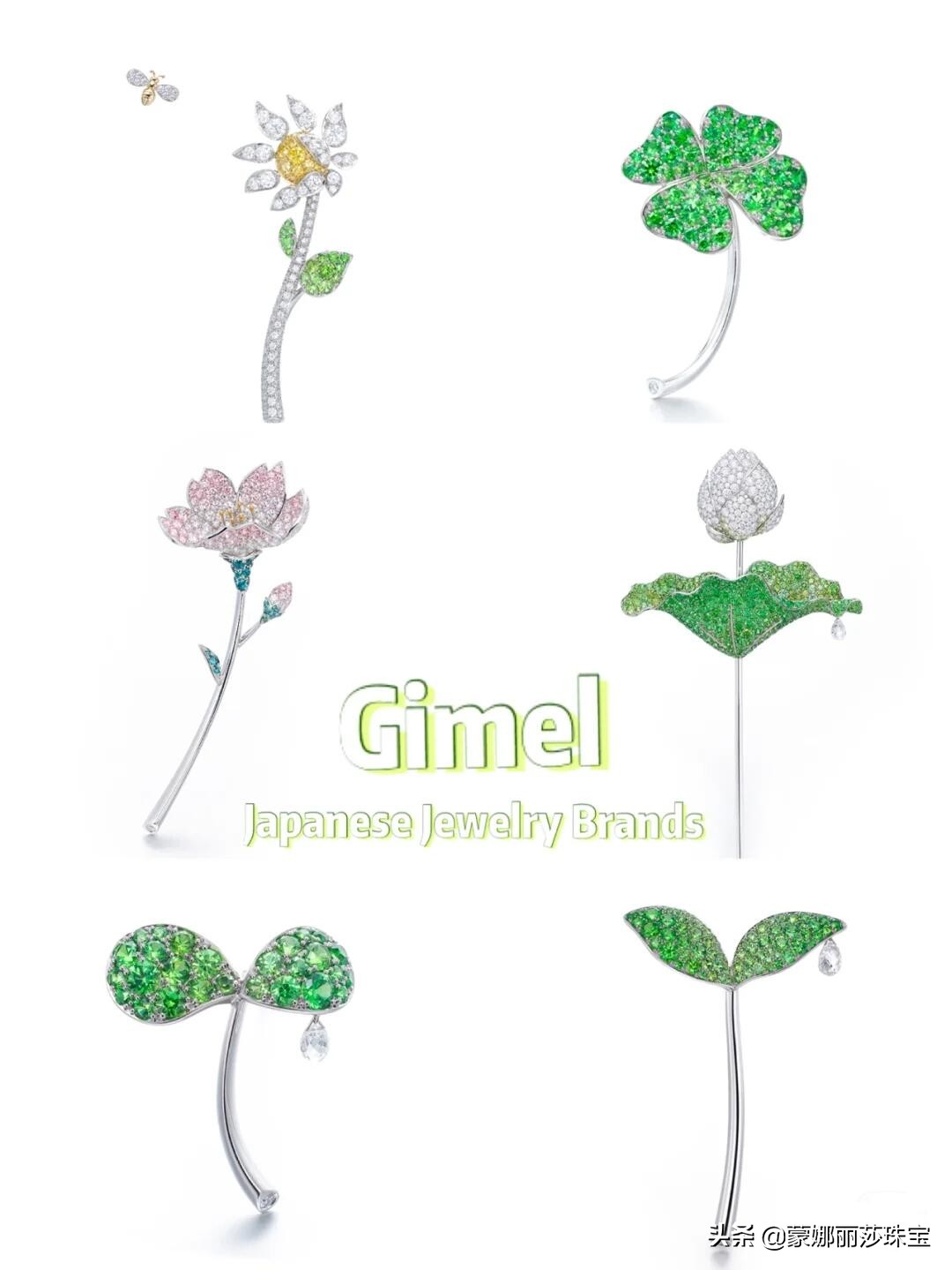 Irreplaceable Nature-Gimel, Japan - iMedia
