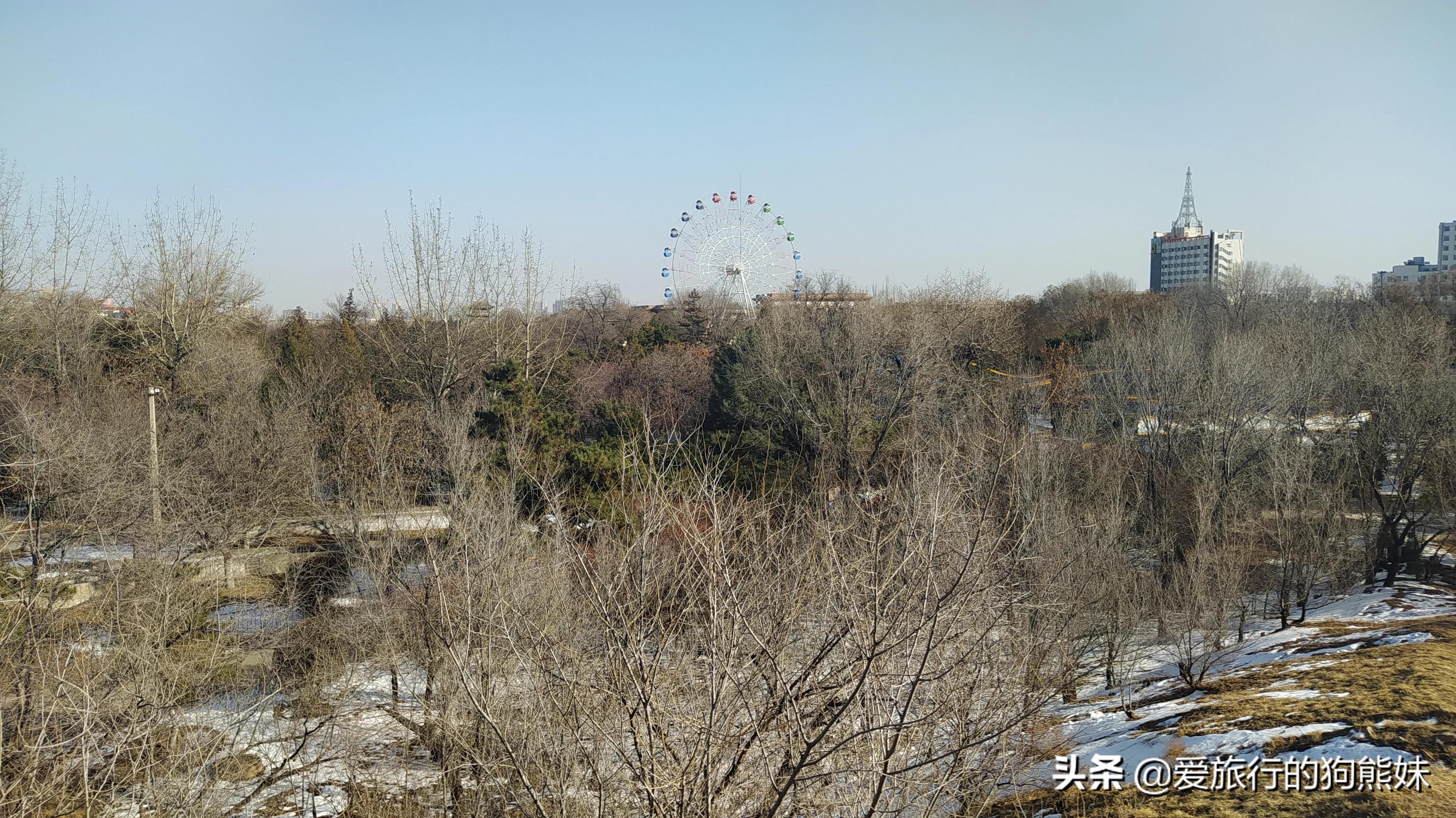 Although the "rockery" in Datong Park is not high, it has decades of ...
