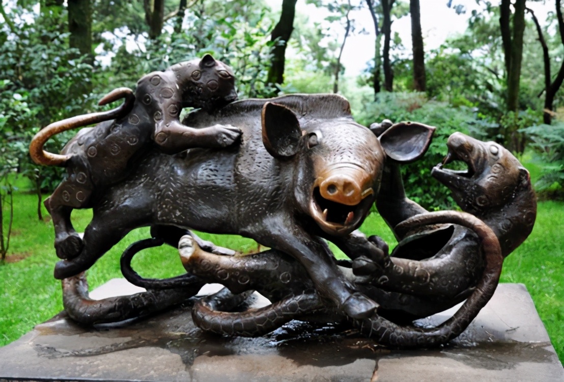 Why are pigs not afraid of snakes?Even feed on snakes?Not quite what ...
