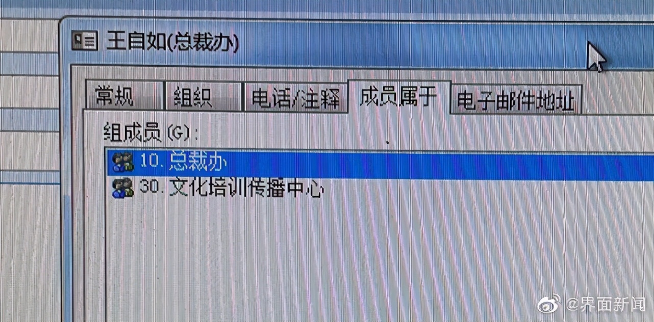 Digital blogger Wang Ziru joins Gree as vice president of assessment ...