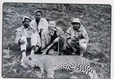 Why did the leopard transform from an ancient ogre to a regular beast ...