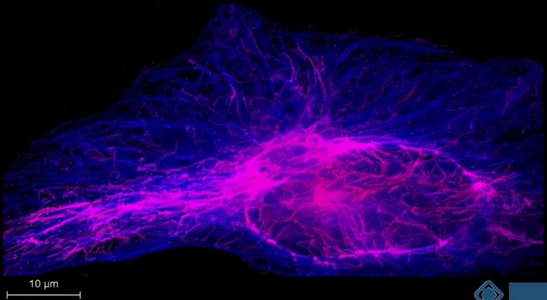 Time-resolved fluorescence technology and fluorescence lifetime ...