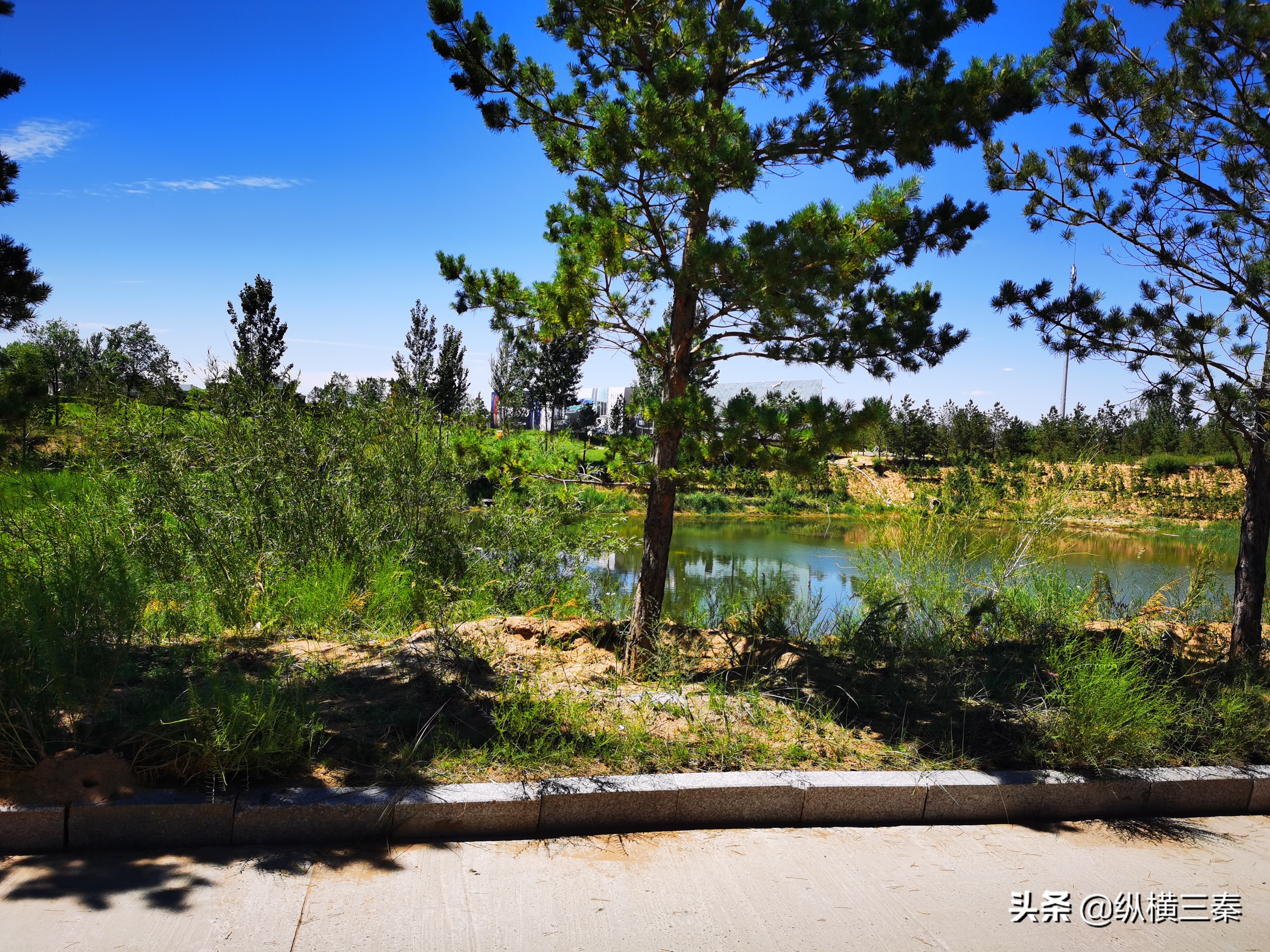 Thousand acres of desert in Yulin, Shaanxi turned into a top golf ...