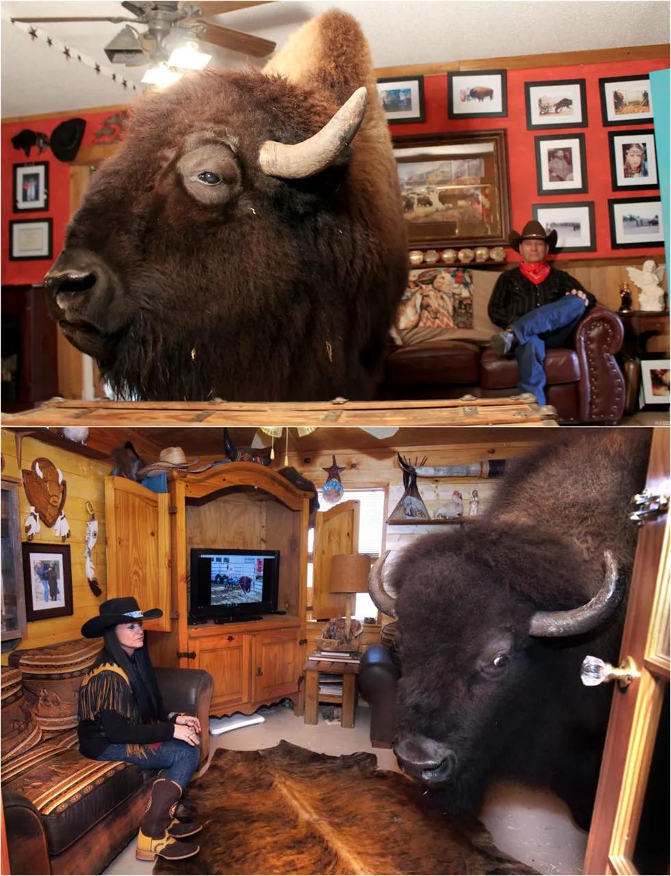 After reading these 29 pictures, the giant phobia has attacked... - iMedia