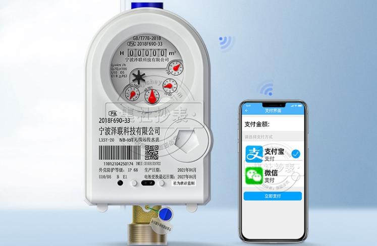 What are the advantages and value of the remote meter reading system ...