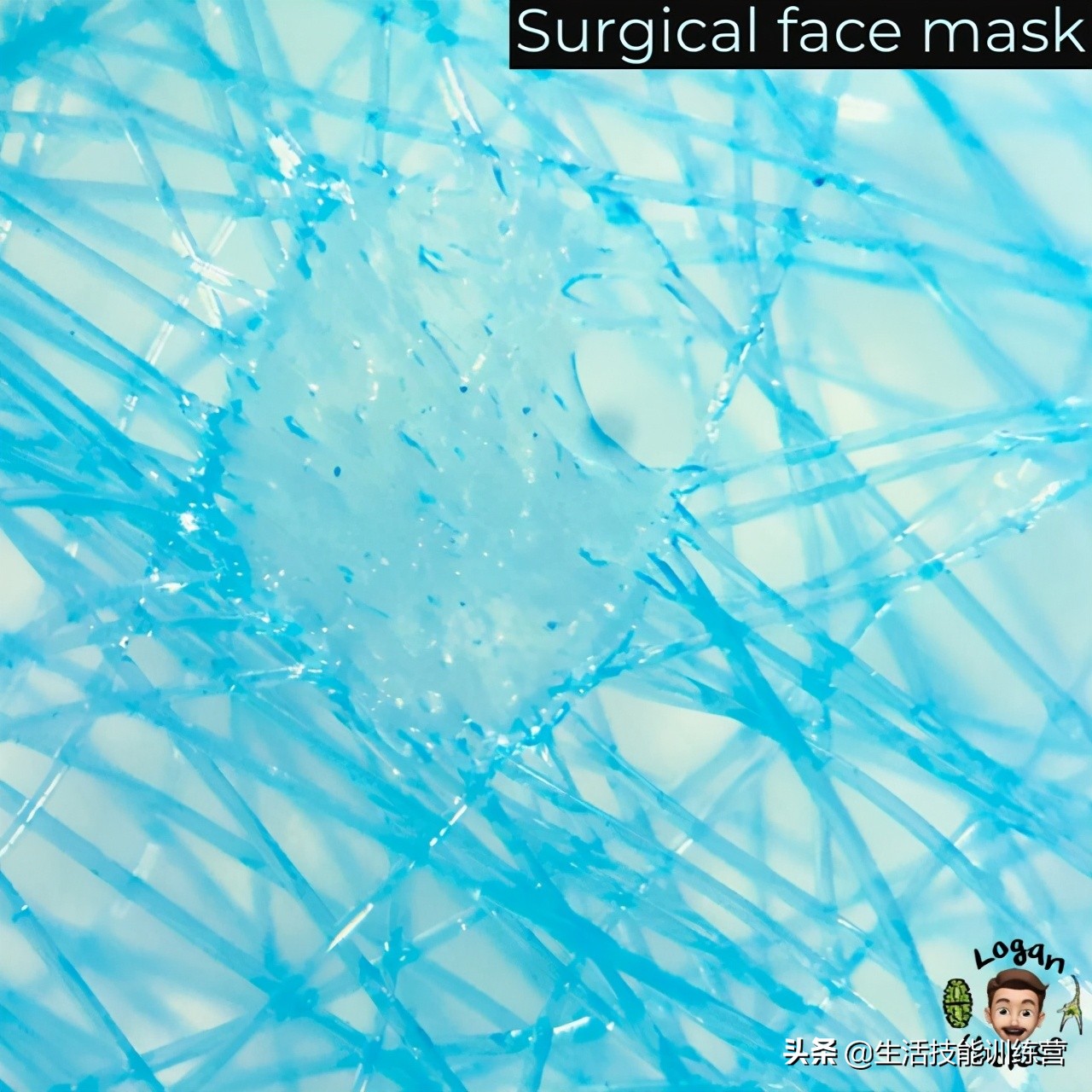 Wonderful microscopic world, 30 pictures show how everyday objects look ...