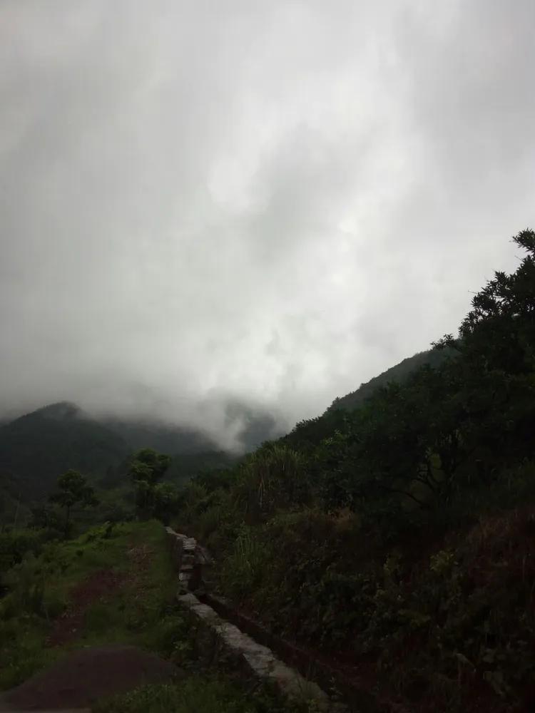 Will the wind remember that flower? The fragrance-the beautiful scenery ...