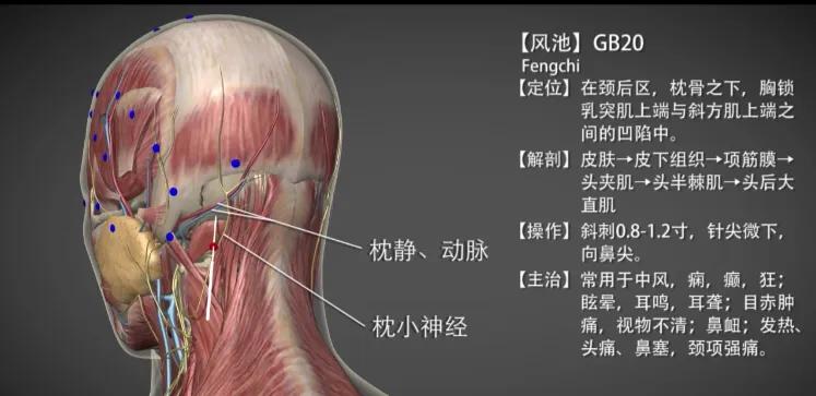 Introduction to Fengchi Cave - iMedia