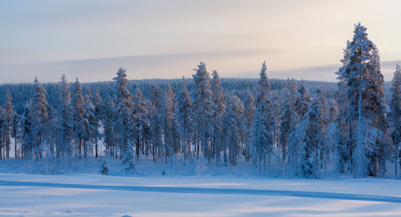"Permanent neutral country" Sweden: Has the Nordic snow country, where ...