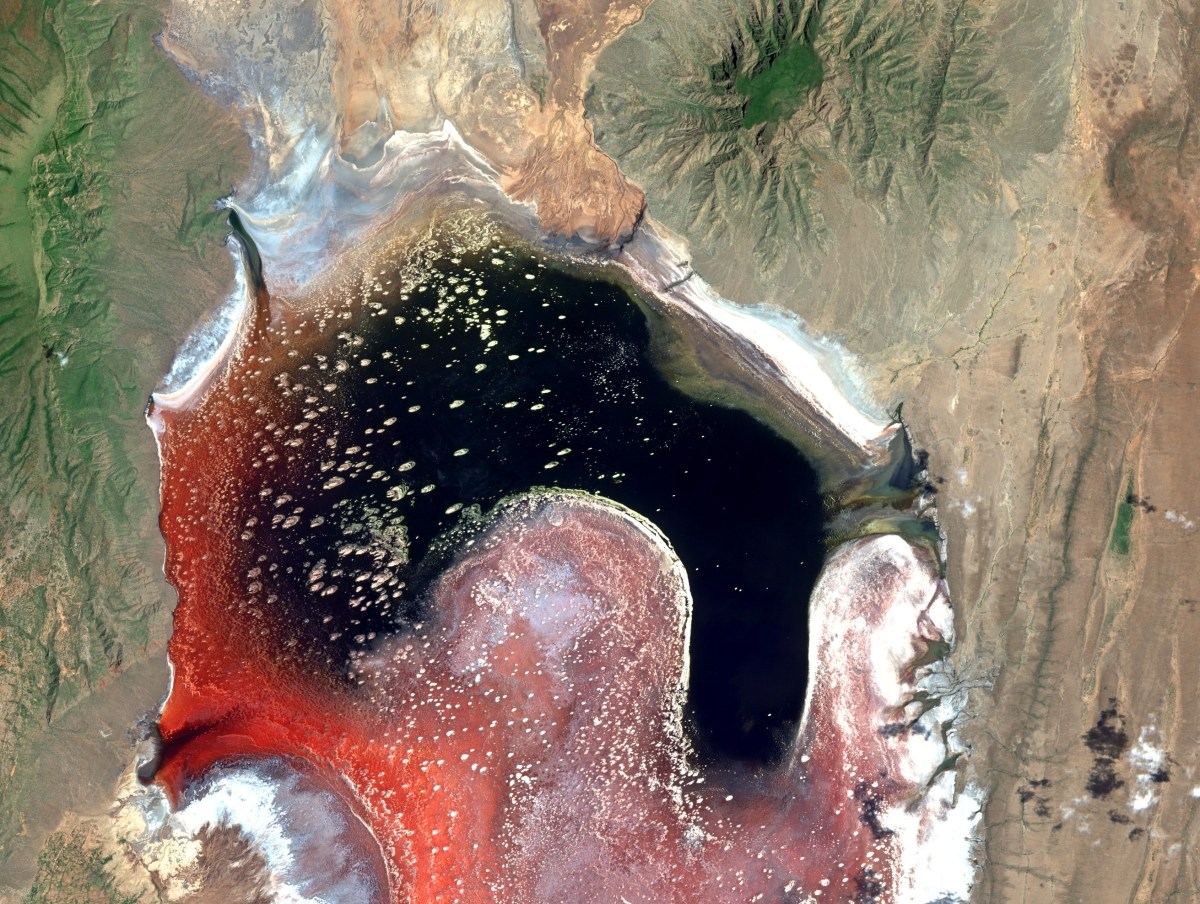 How terrible is Lake Natron, called "The River Styx"? Animals fall into ...
