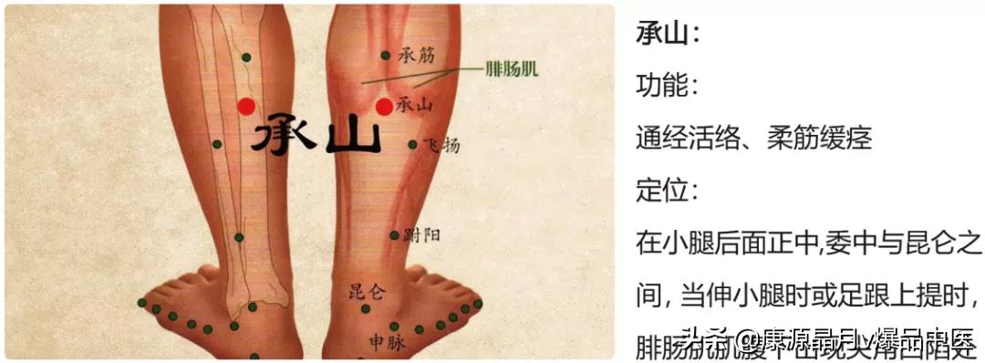 A blocked meridian can cause all kinds of diseases!Make good use of ...
