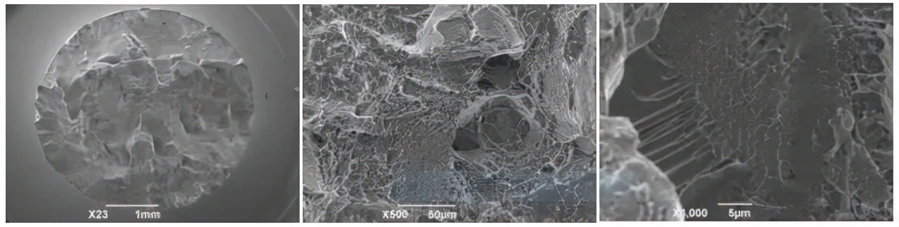 Effect of Dual Annealing on the Microstructure and Properties of TC18 ...