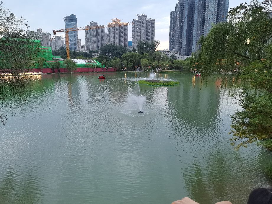 Night tour in Xingqing Park - iNEWS