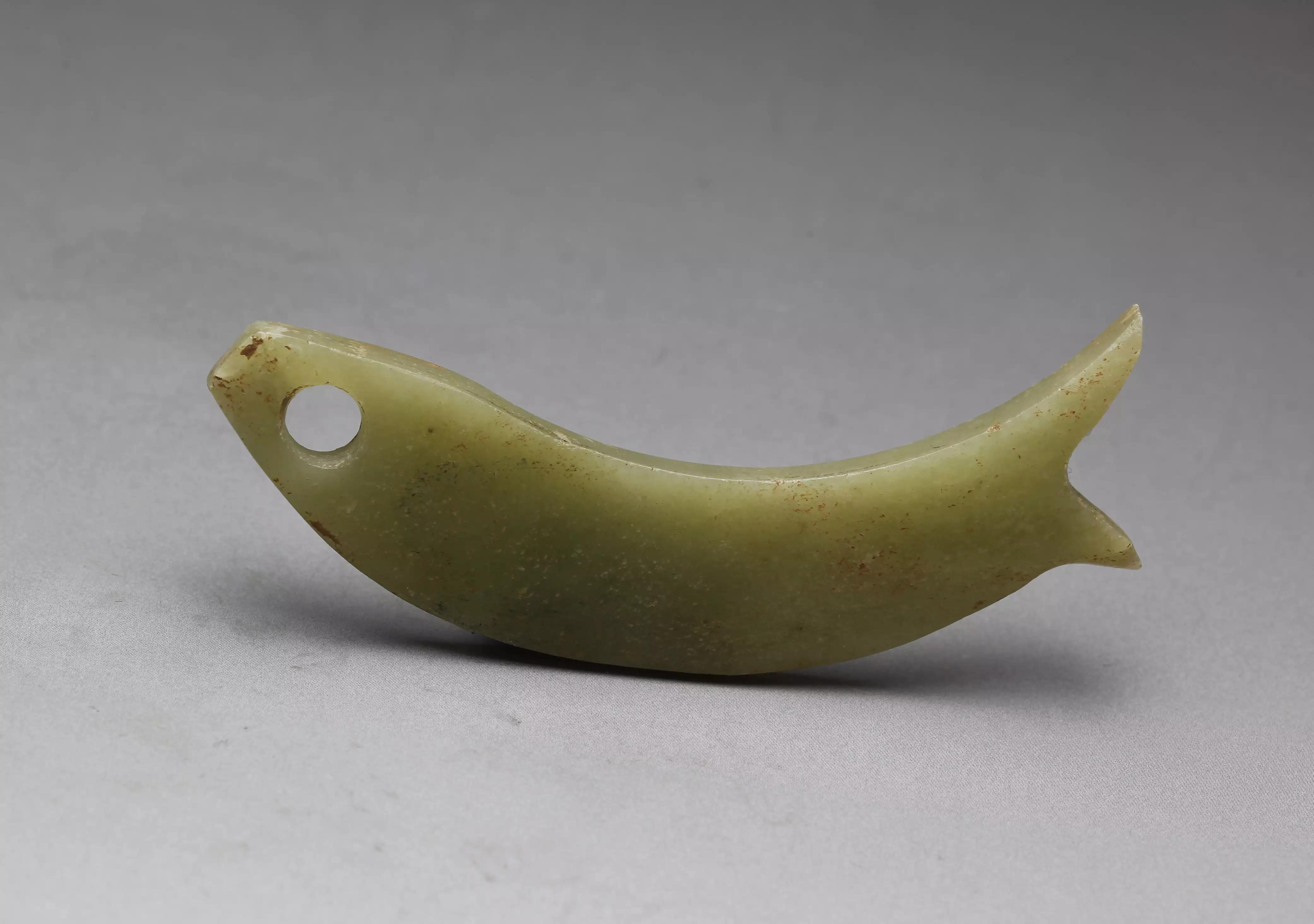 Gansu Linlong Yazhai||Qijia Yellow Jade Fish - iNEWS