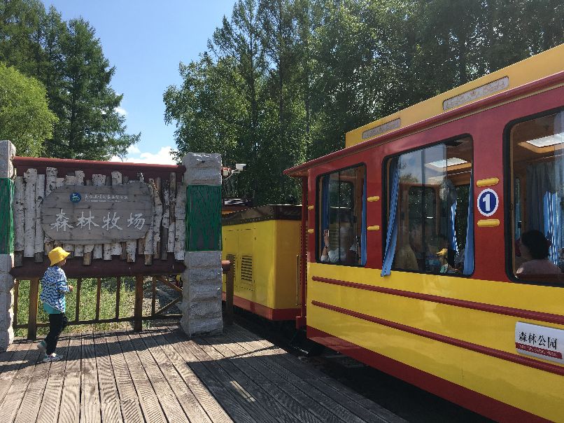 Walk into Mordaga National Forest Park - iMedia