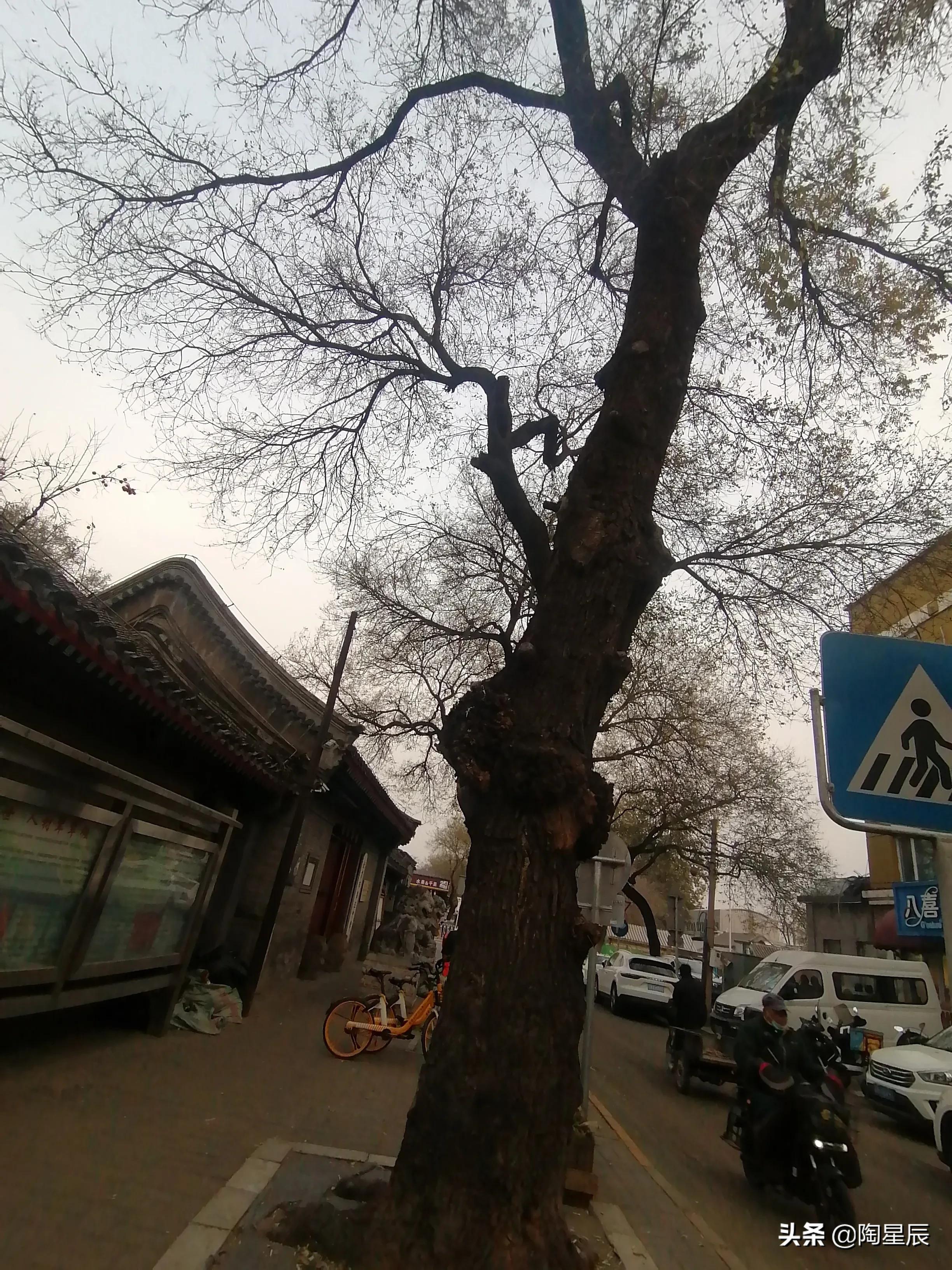 Hiking Beijing: The Old House of Zu Dashou - iNEWS